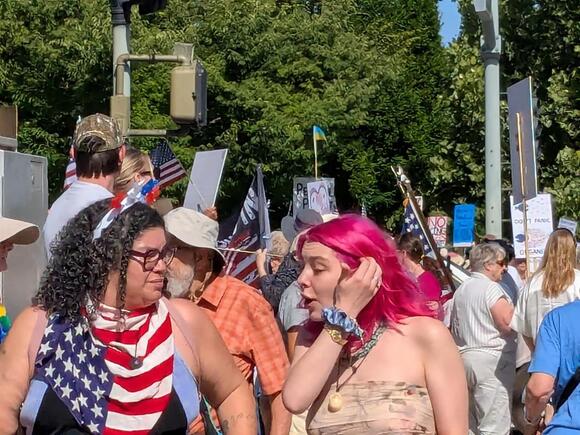 Redding protesters crowd City Hall lawns for anti-Trump No Kings rally ...