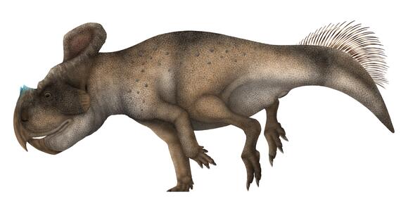 Could Dinosaurs Have Lived Underground During Harsh Climate Shifts ...