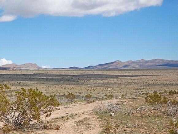 'Skydiving accident' hospitalizes 2 with life-threatening injuries near ...
