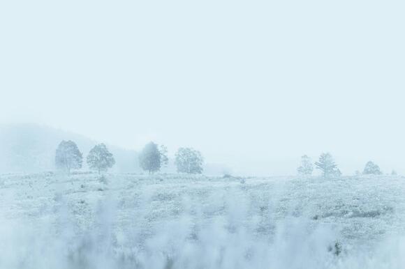 Lubbock Residents Report Sightings of Mysterious “Snow Thing” During ...