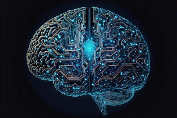 15 Astonishing Facts About the Human Brain That Defy Logic - NewsBreak