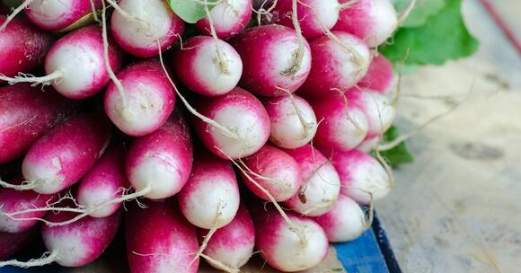 15 Vegetables That Thrive In Poor Soil Conditions - NewsBreak