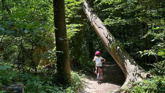 Richmonders share their beginner-friendly bike advice - NewsBreak