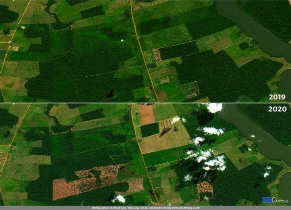 Conservation vs. Exploitation: Who Has the Right to Decide the Amazon ...