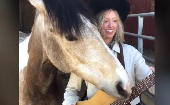 Aggressive Rescue Horse Discovers Peace Through Guitar Music and ...