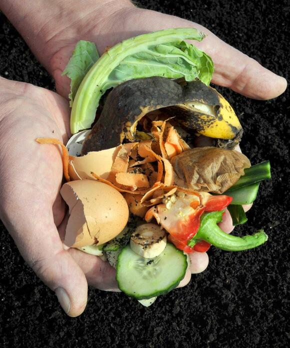 How to maintain compost over winter – 5 expert ways to keep it nutrient ...