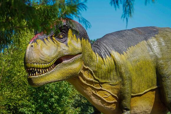 Why the T. rex Had Tiny Arms - NewsBreak