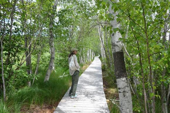 Acadia tackles climate change with its largest-ever restoration project ...