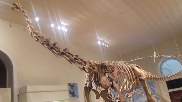 The Price of Fame: How Dinosaur Discoveries Get Twisted for Headlines ...