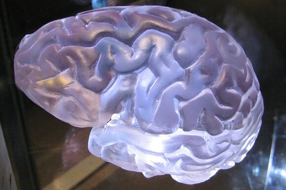 The 2026 Brain: Smarter, Faster, Stronger? - NewsBreak