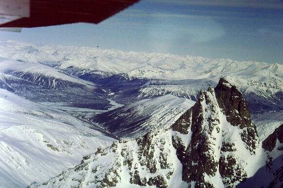 The Tragic Story Of Carl McCunn, The Wildlife Photographer Who Got ...
