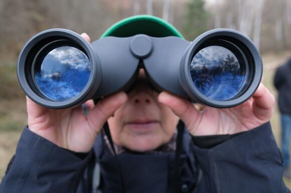 Are birdwatching holidays going to be the big trend for 2026? - NewsBreak