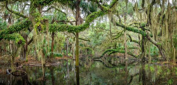 Need some ideas for what to DO in Savannah this weekend? How about some ...