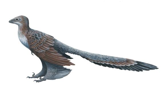 The Mystery of the Giant Raptor That Lived in the Arctic - NewsBreak