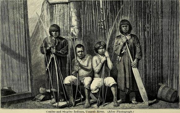 Jungle in Decline: What Satellite Data Shows About the Amazon’s ...