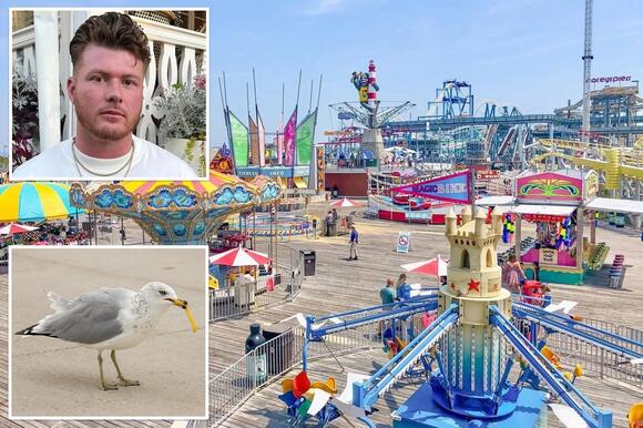 NJ man decapitates seagull that tried to steal French fry from daughter ...