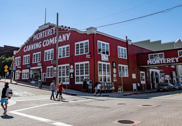 Cannery Row Chaos: Fight Erupts, Man Knocked Unconscious as Suspect ...