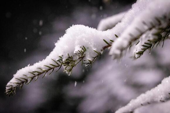 The Underrated Best Parts of Winter in Minnesota - NewsBreak