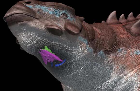 New Evidence Suggests Dinosaurs Developed Complex Vocalizations for ...