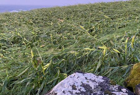 Cyclone Gabrielle hits Azores less fiercely than expected - NewsBreak