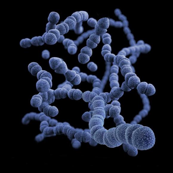 From Medical Dye to Mitochondrial Fuel: The Emerging Science Behind ...