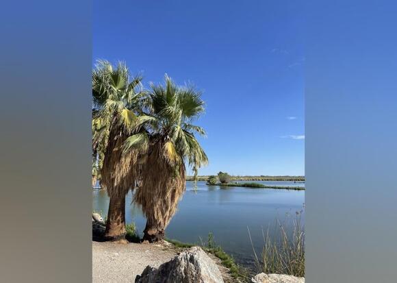 5 perfect outdoor activities everyone in Yuma should try this spring
