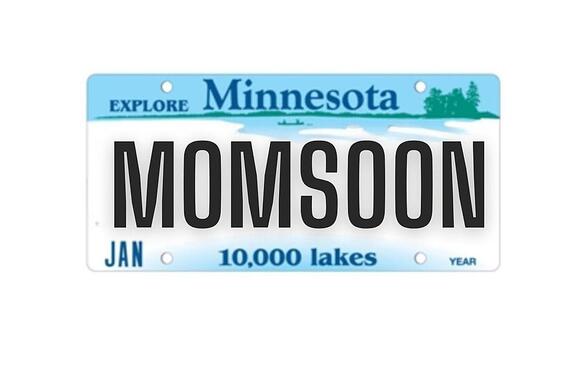 Minnesota's Personalized License Plate Guidelines Explained - NewsBreak