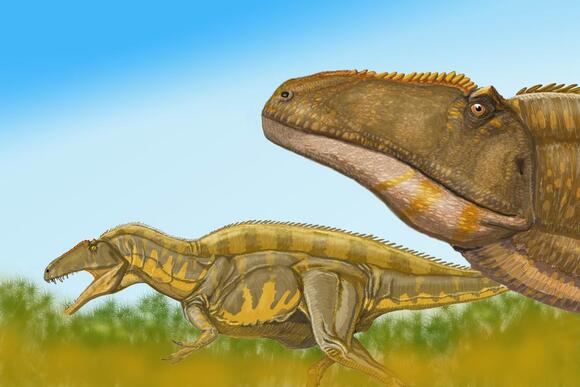 Why One Dino Had Armor… on Its Eyelids - NewsBreak