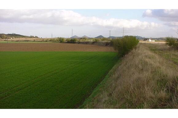 Why Wildlife Corridors Are Key to Animal Survival - NewsBreak