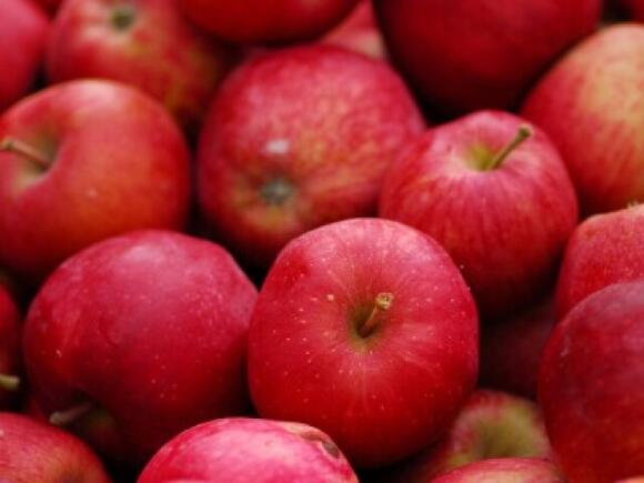 Apple Holler hosts fundraiser to support Racine Fire Bells - NewsBreak