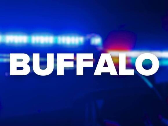 Buffalo teenager pleads guilty to 2024 shooting in Delavan-Grider ...