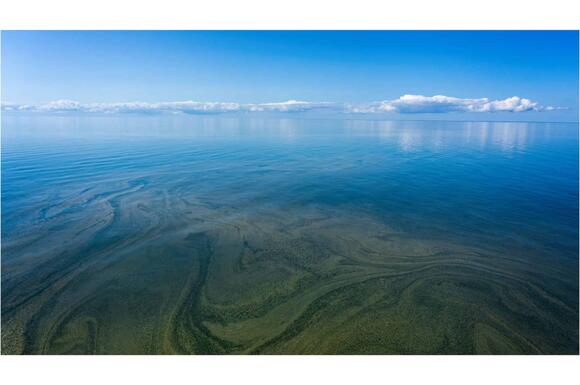 The Role of Marine Biology in Climate Change Research - NewsBreak