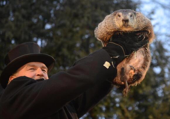 Groundhog Day: What is the meaning behind it and how is it celebrated ...