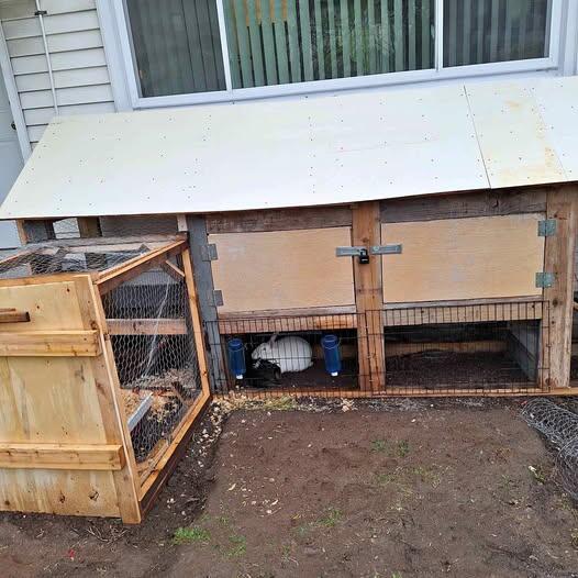 🎁 Freebies Up for Grabs in Saint Joseph Right Now - NewsBreak