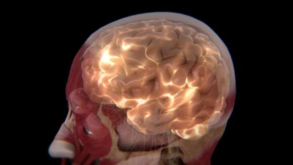 Scientists Identify 2 Distinct Subtypes of Autism in The Brain - NewsBreak