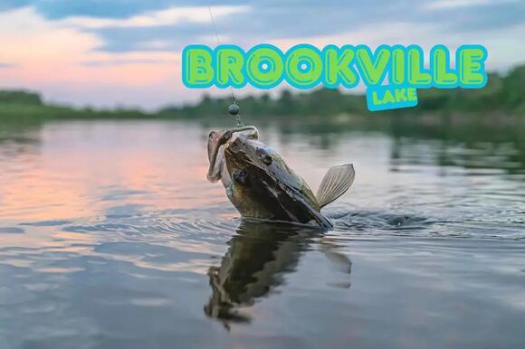 Why Dry Hands Can Be Deadly For Released Fish - NewsBreak