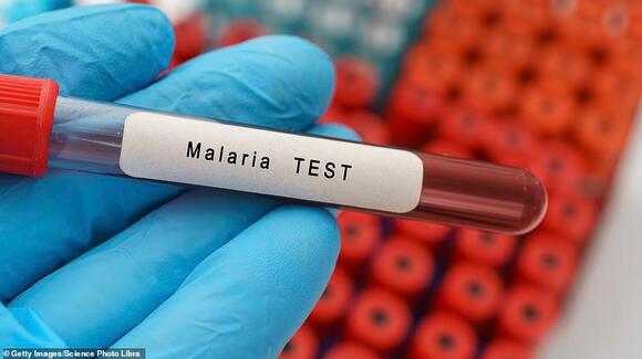 Fox News host off air after being diagnosed with malaria - NewsBreak