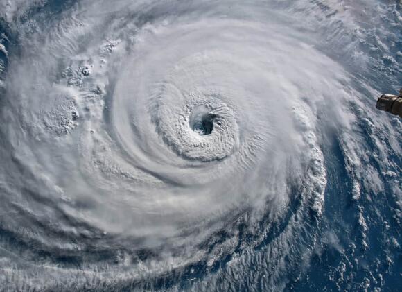The Impact of Hurricanes on Coastal Ecosystems and Wildlife - NewsBreak