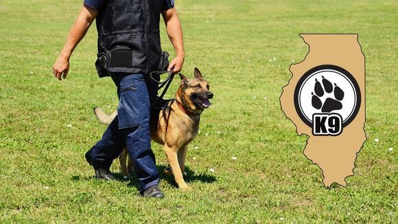 Illinois K9 Officer Receives Body Armor Thanks to Kind Donation - NewsBreak