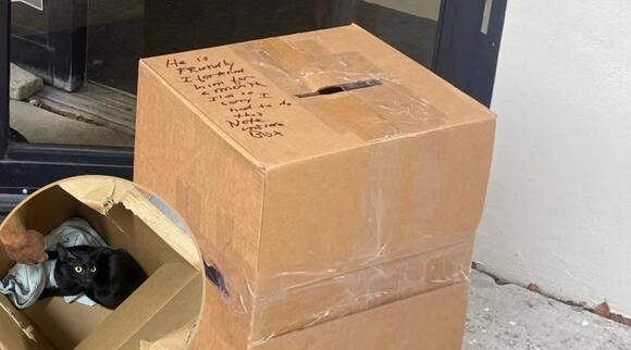 Rescuers Find Abandoned Cat Sealed in Box With Heartbreaking Note ...