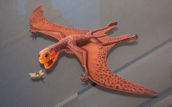 What Was the Largest Flying Dinosaur? Meet the Giant Pterosaurs - NewsBreak