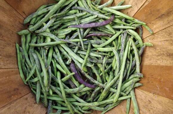 US Farmers Markets Selling Rare Local Food - NewsBreak