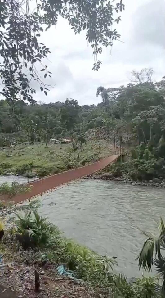 'Total anguish' as Colombia bridge collapses at opening, sending crowds ...