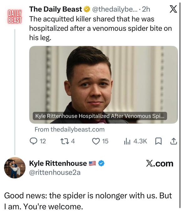 Kyle Rittenhouse Hospitalized After Venomous Spider Bite - NewsBreak