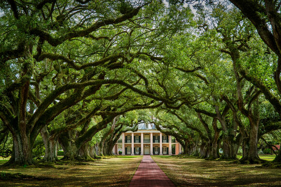 Plantation Tours in the American South - NewsBreak