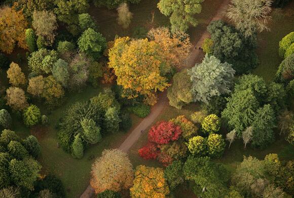 Daily Weather Forecast For Waycross