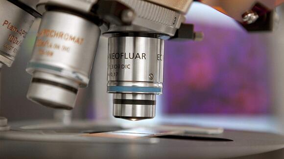 Deadly, drug-resistant fungus spreading in Texas. Here's who is at risk ...