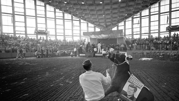 The North Carolina State Fair, by the numbers - NewsBreak