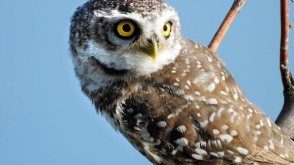 11 US National Parks Where You Can Spot Endangered Species - NewsBreak