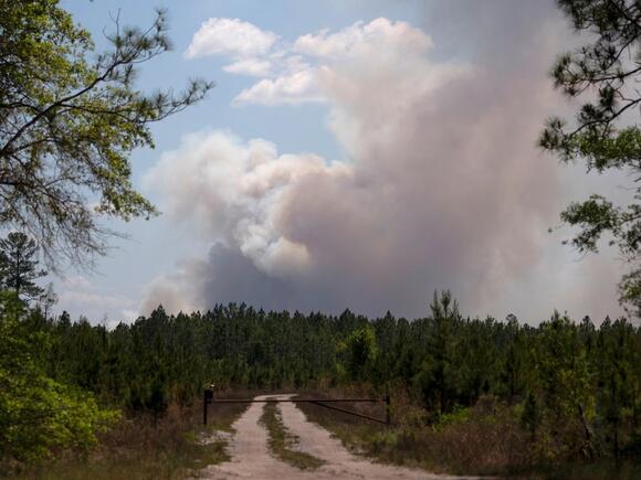 Georgia wildfires: New details revealed in possible causes of blazes ...